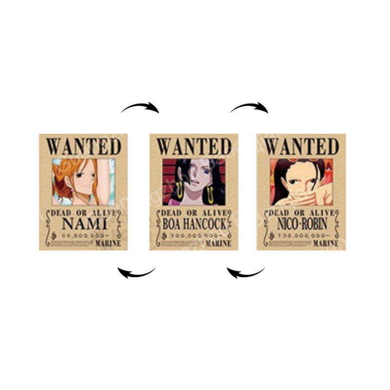 Cartel Decorativo Lenticular 3D Nami Boa Hancock Nico Robin – 3D ...